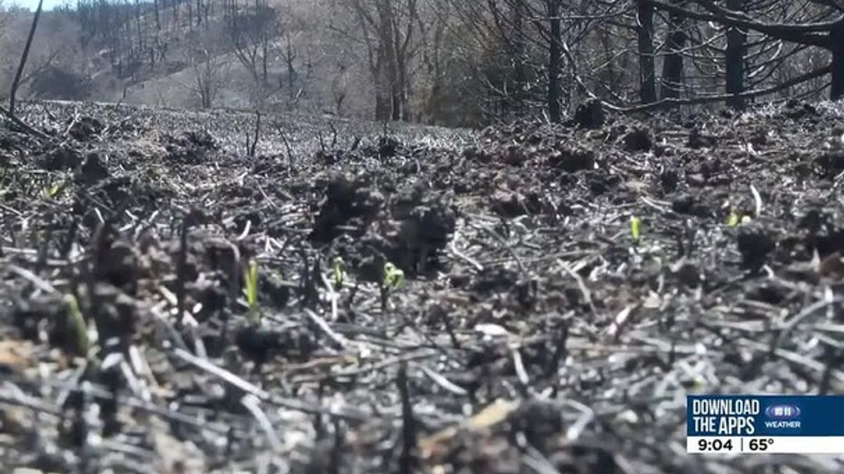 Cottonwood Fire exposed communication gaps for first responders in ...