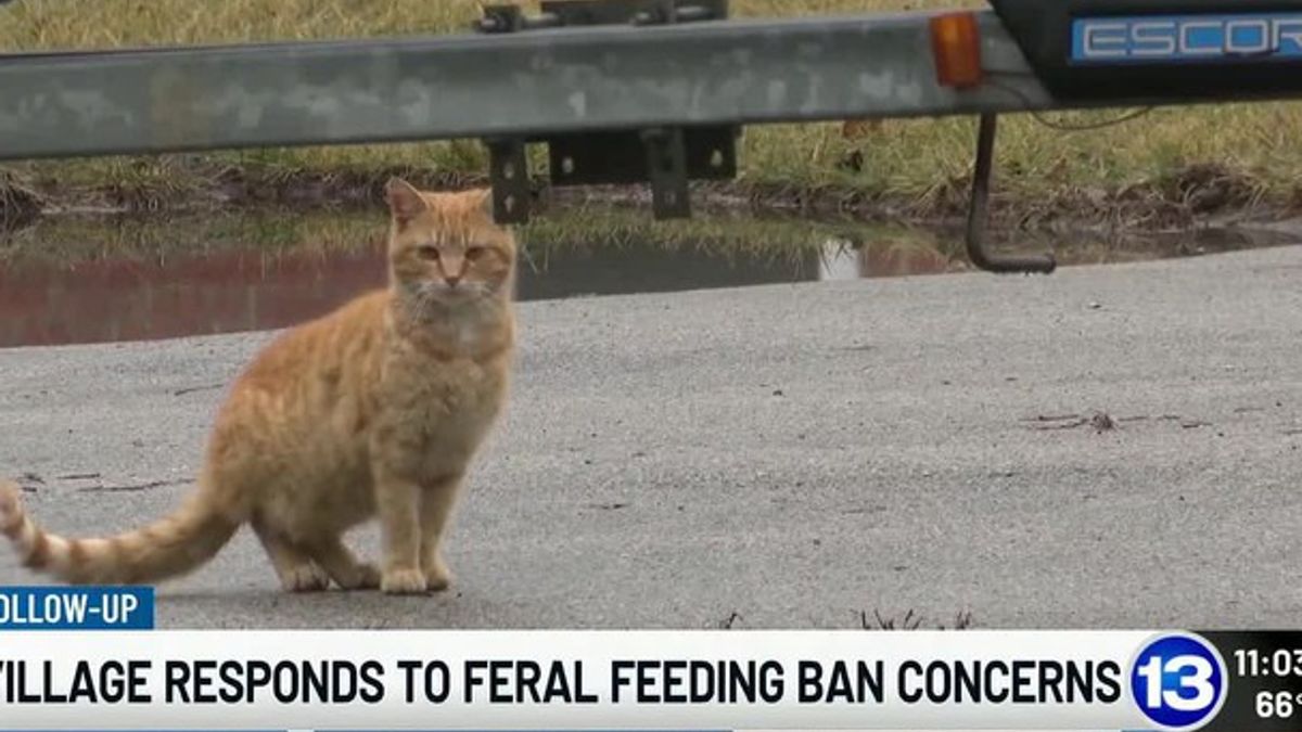 Village of Swanton responds to concerns of an ordinance against feeding ...