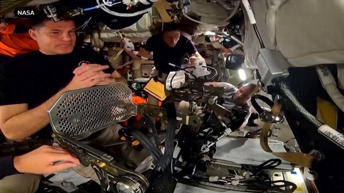 Spaceflight and the human body: What zero gravity does | Haystack News