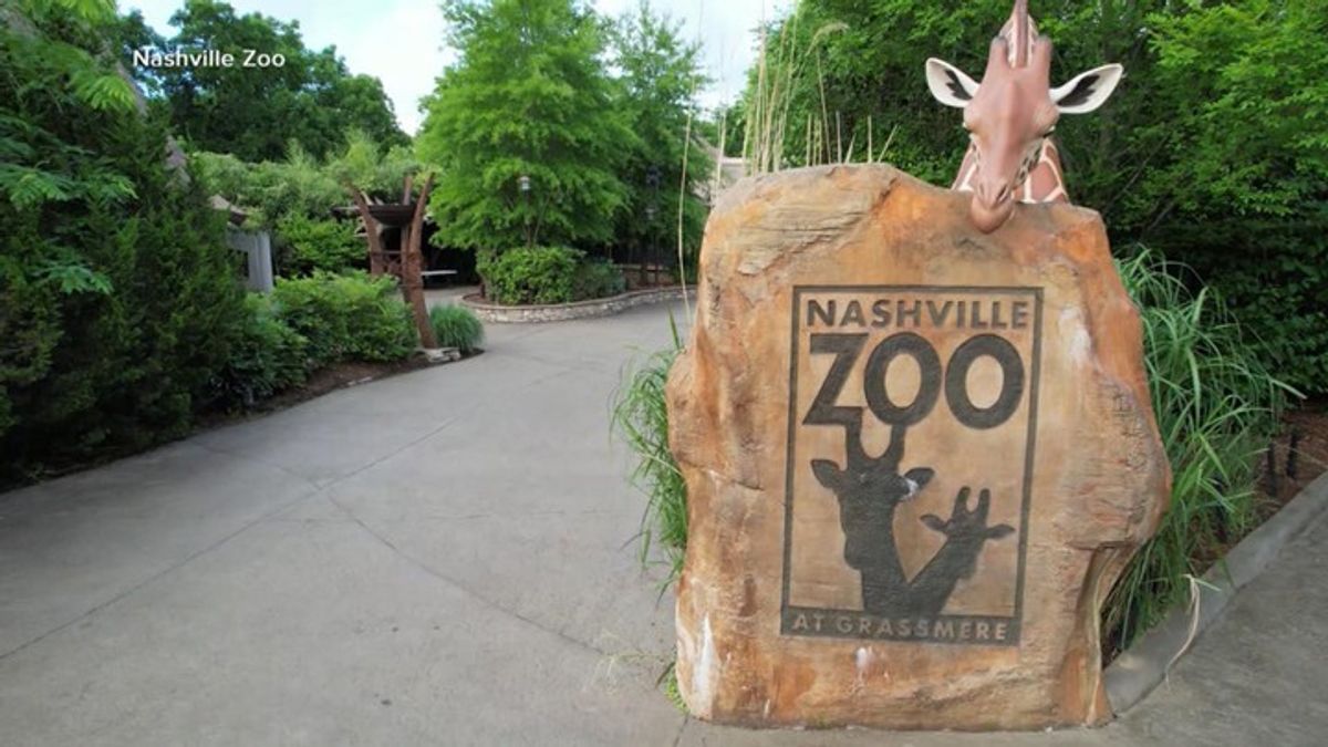 Nashville Zoo fights proposed data center next door | Haystack News