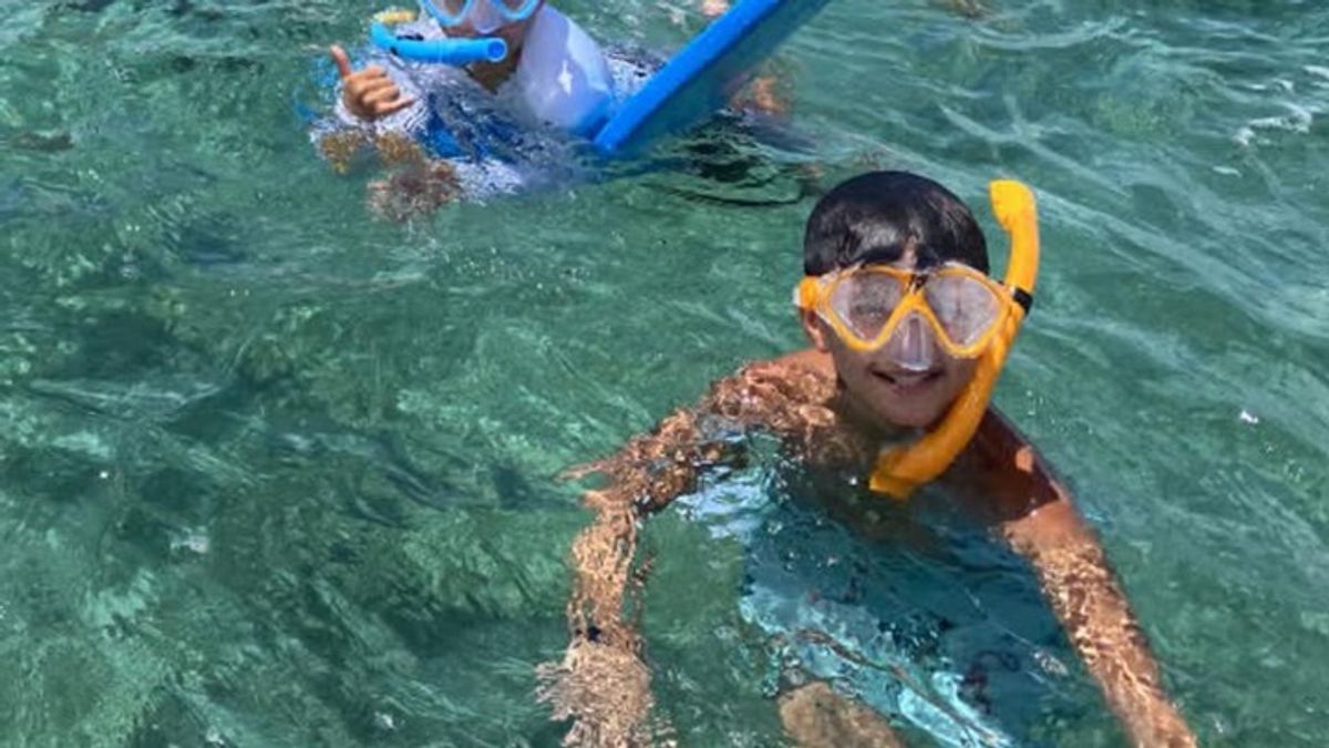 Video shows moment boy attacked by shark in Florida Keys | Haystack News