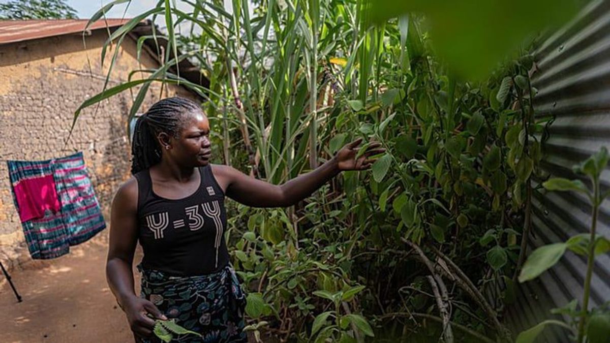 Rumors and mistrust persist over Ebola outbreak | Haystack News