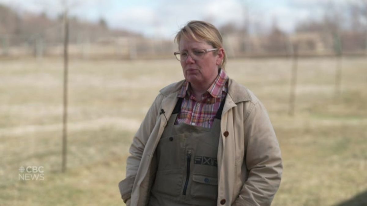 N.B. knows it’s losing farmland. Here’s why change is finally on the ...