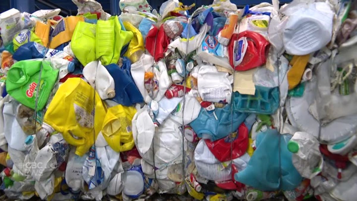 Does Quebec’s new recycling system really work? | Haystack News