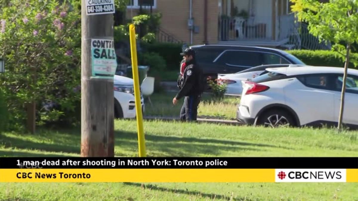 1 man dead after shooting in North York: Toronto police | Haystack News