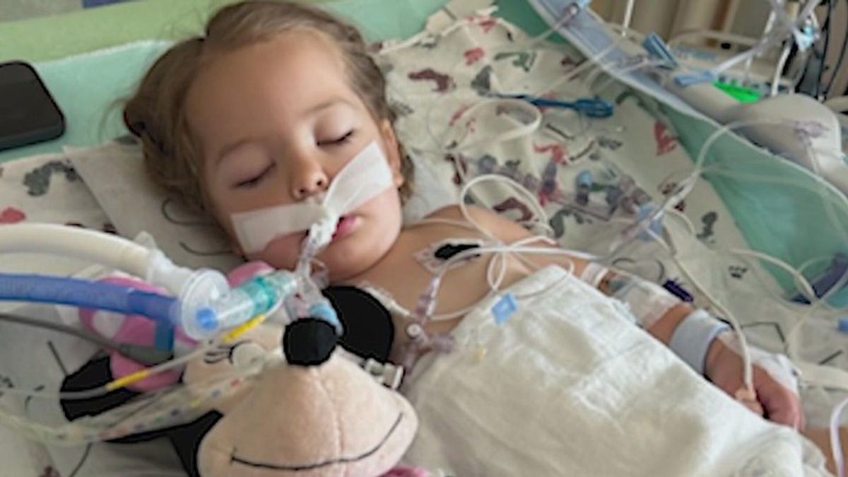 Toddler airlifted to hospital after getting bitten by rattlesnake bite ...