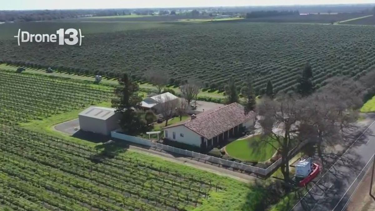 California projects additional vine removal this year, leaving Lodi ...