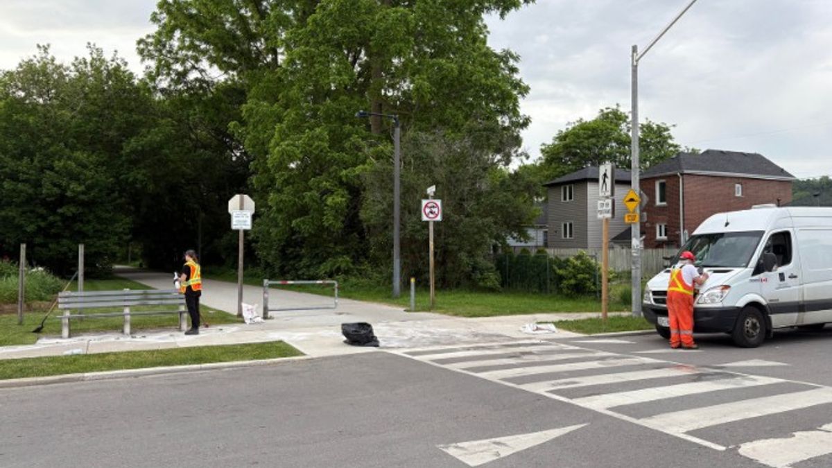 Hamilton police seek suspect after overnight stabbing near rail trail ...