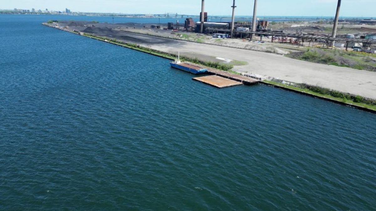 Hamilton police investigating after body found in harbour near Wilcox ...
