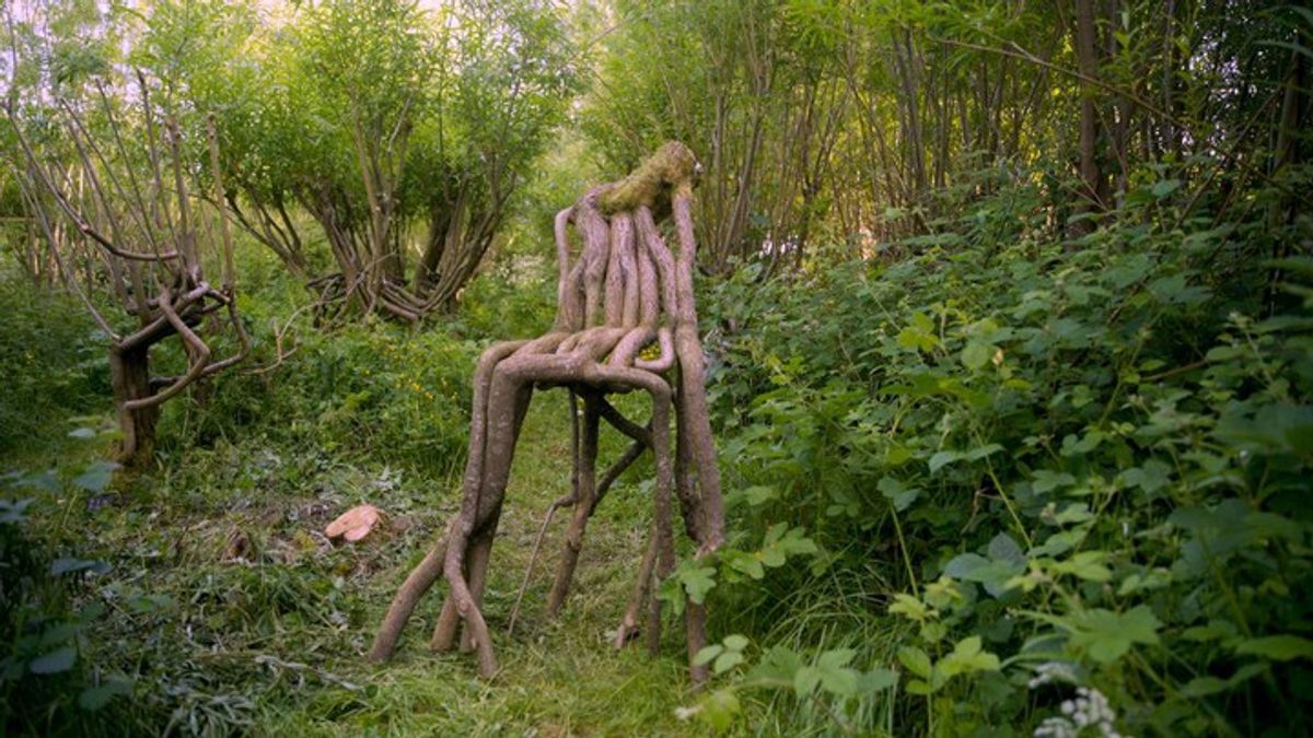 This furniture takes a decade to grow and is priced as an artwork ...