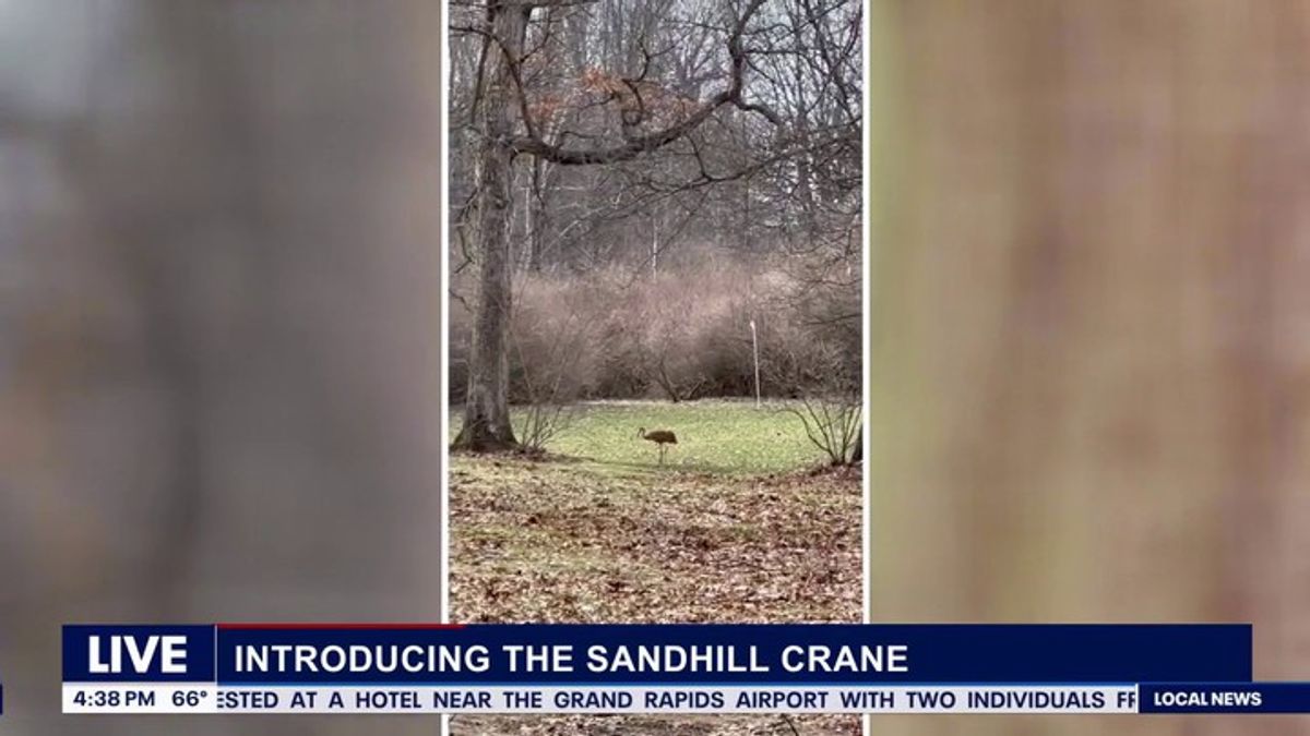 Brother Nature's news: What's that sound? | Haystack News
