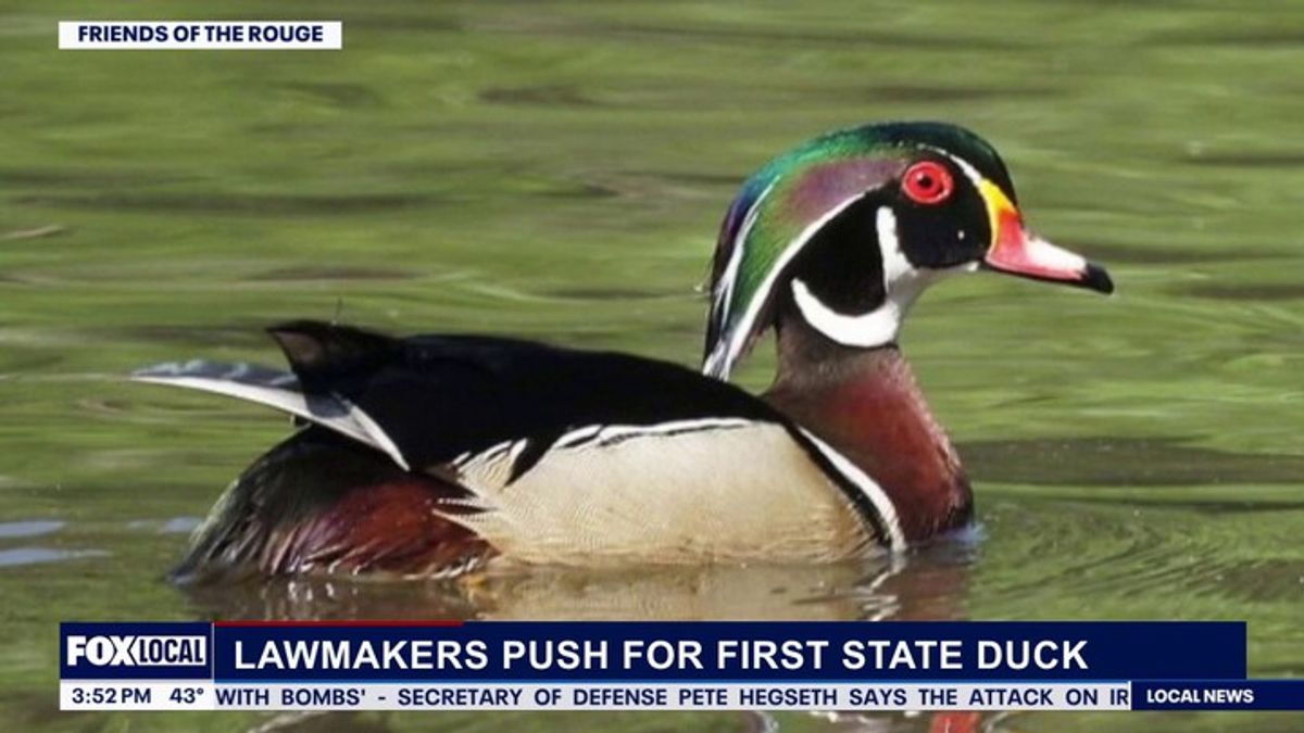 Brother Nature's news: Michigan state duck bill & man convicted for ...