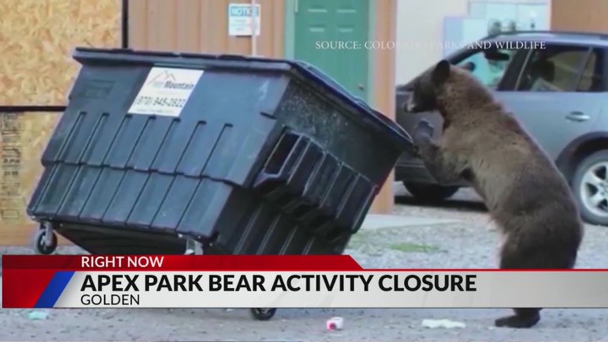 ‘Aggressive bear activity’ closes Jeffco park in Golden | Haystack News