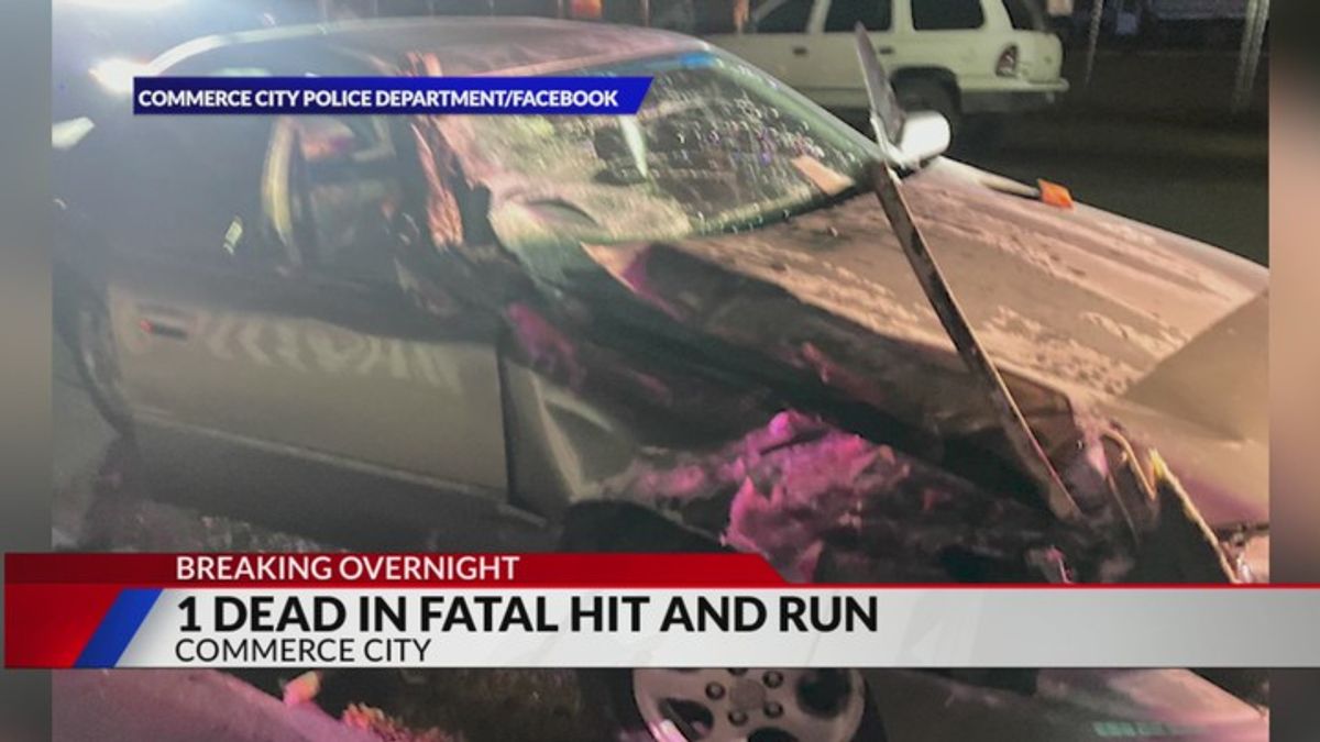 1 dead in fatal hit and run | Haystack News
