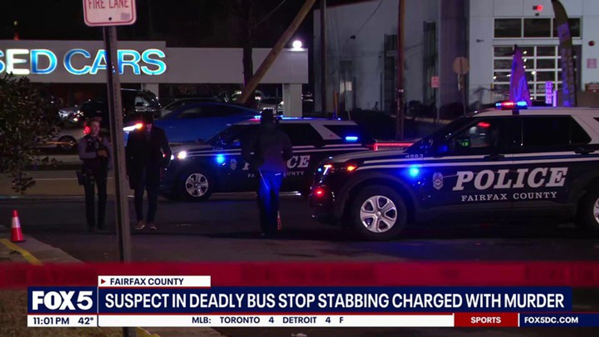 Suspect charged with murder after stabbing woman to death at Fairfax ...