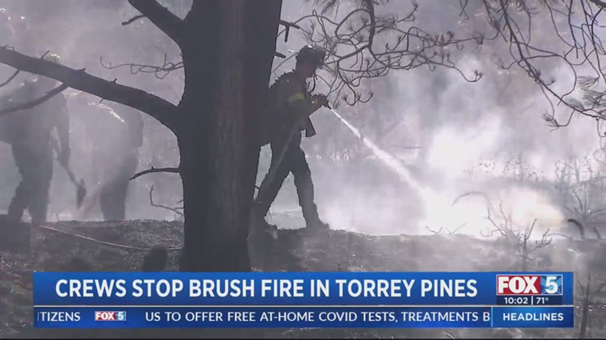 Crews stop brush fire in Torrey Pines | Haystack News
