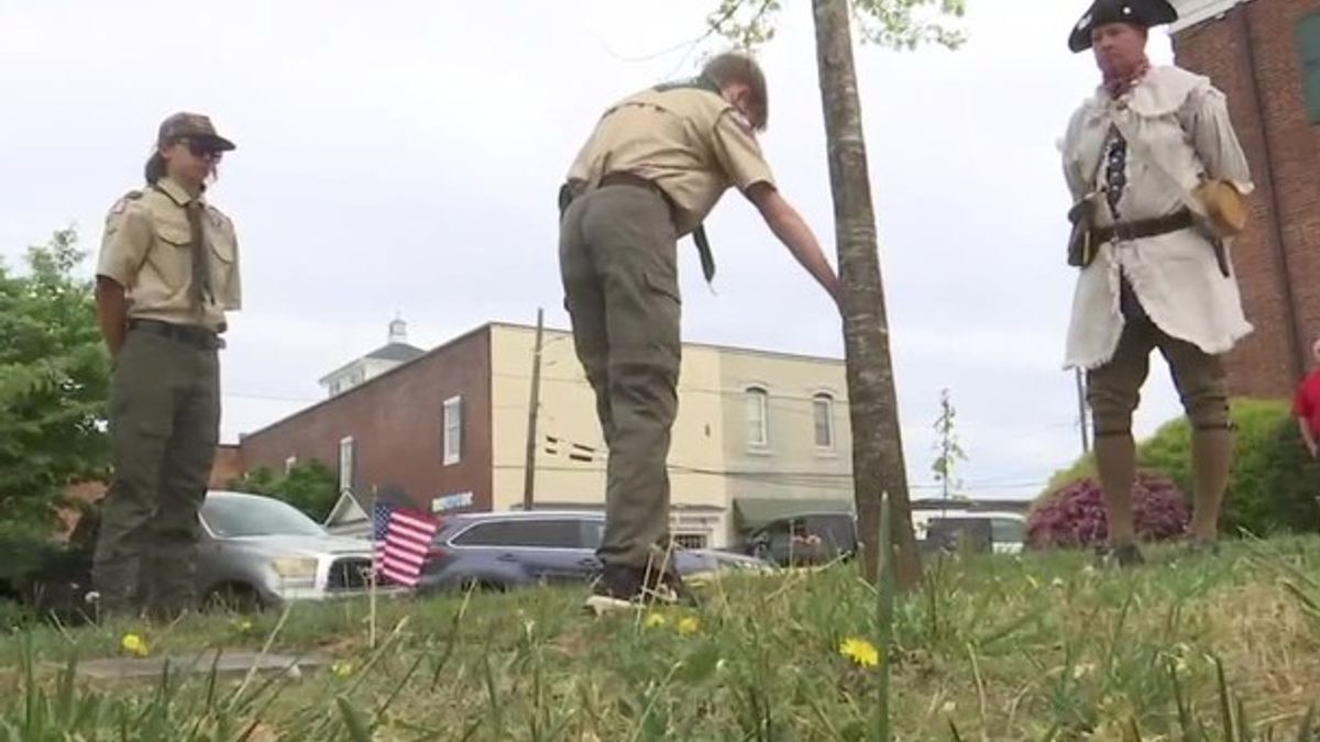 Liberty tree planted at Pickens County courthouse | Haystack News