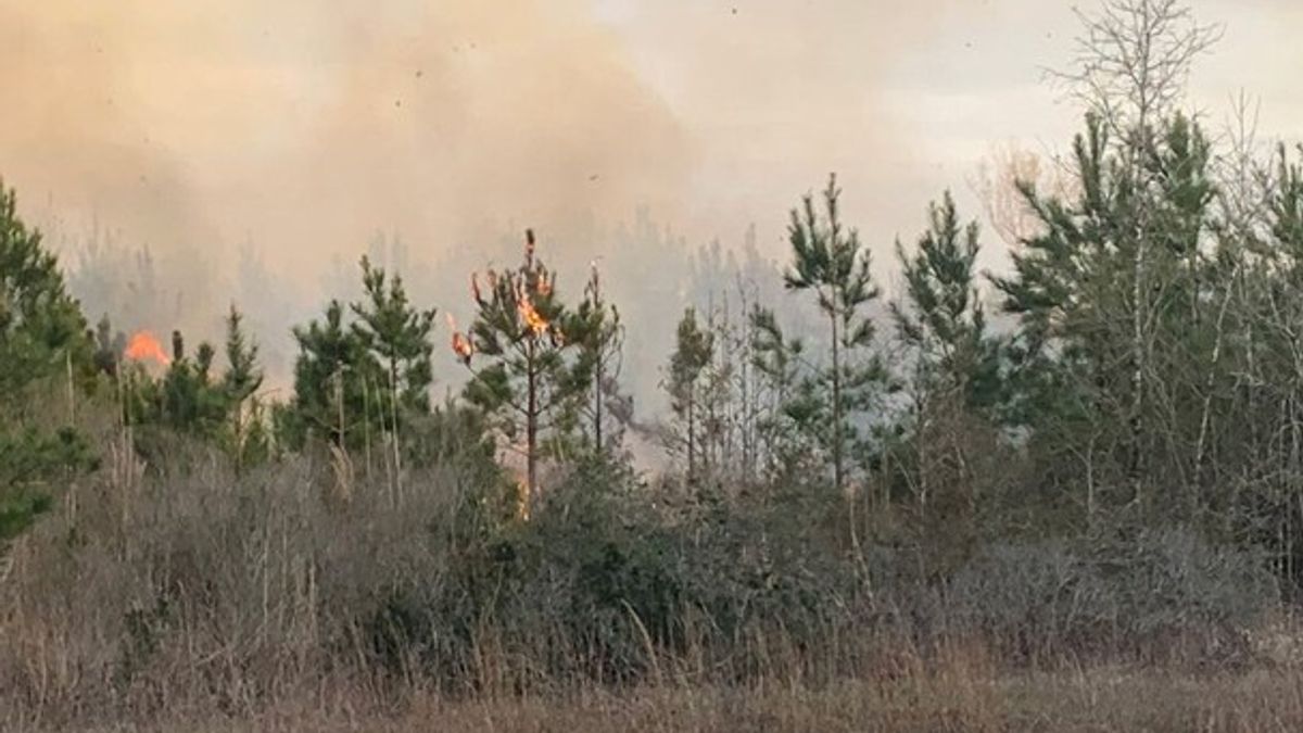 Evacuation order lifted in Winn Parish; forest fire 100% contained ...