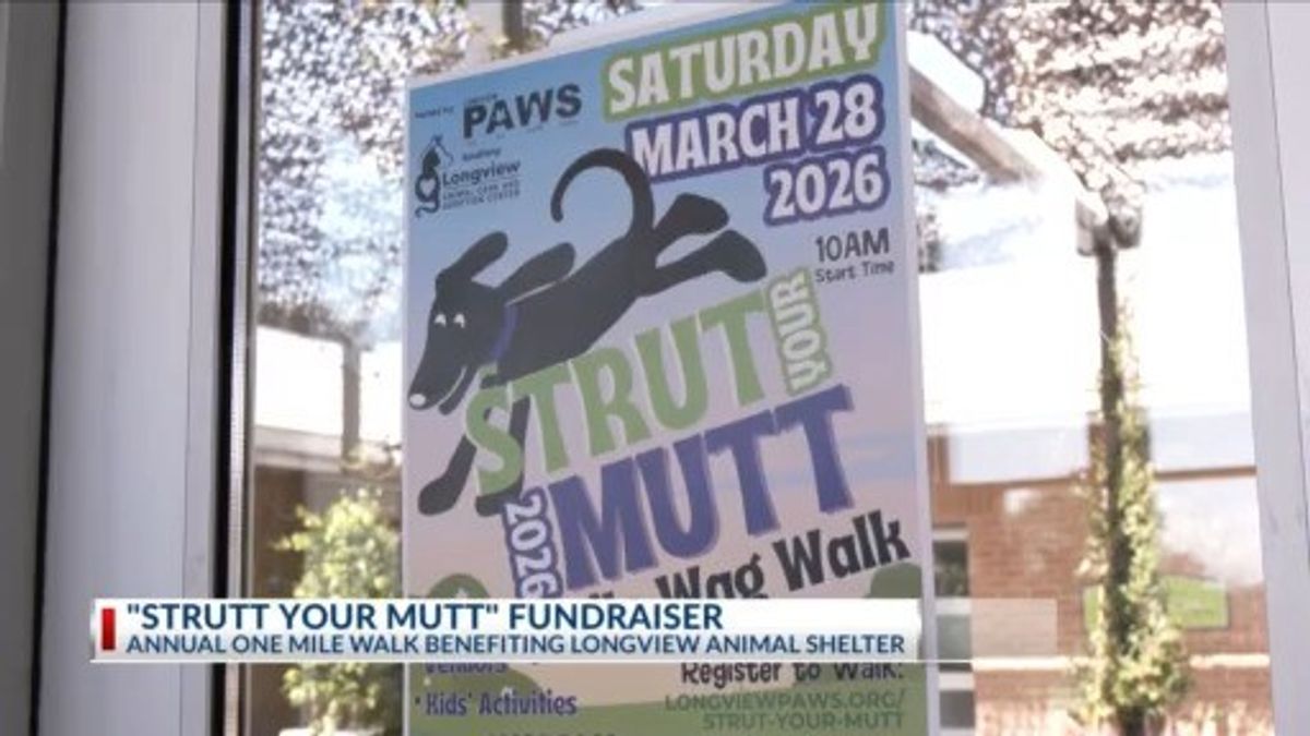 'THE BIGGEST DOG PARTY IN EAST TEXAS': Longview Paws invites dog owners ...