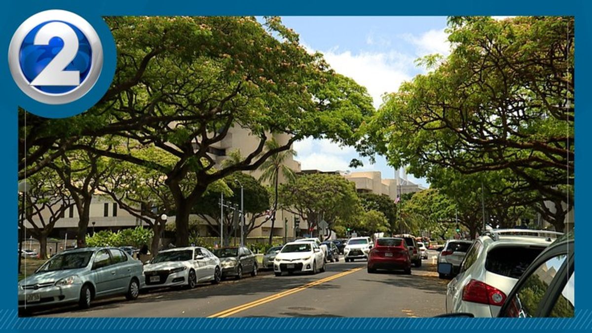 Rail construction to bring major disruptions to Kakaako | Haystack News