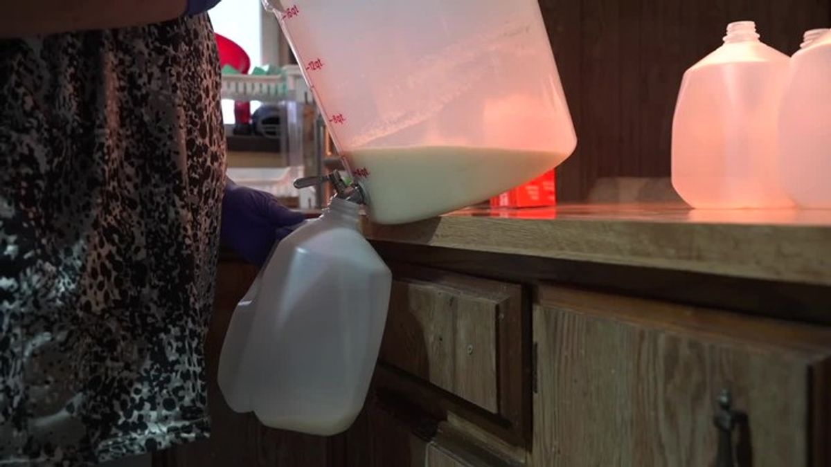 'There’s a Reason We Pasteurize Milk': Inside Idaho’s raw milk ...