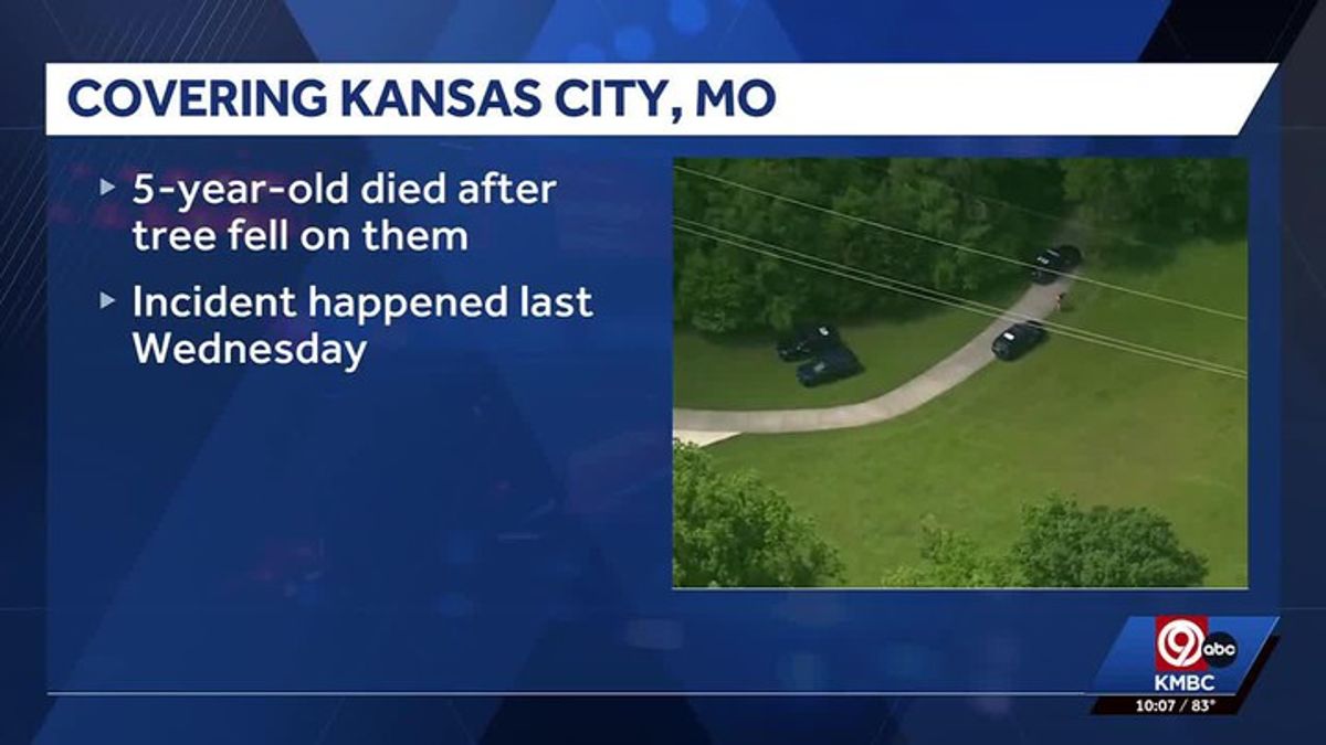 5-year-old boy dies after tree fell on him last week in Kansas City ...