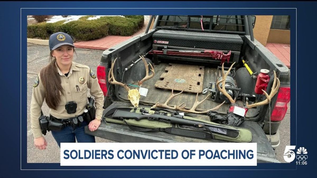 Three Fort Carson active duty soldiers convicted of poaching five mule ...