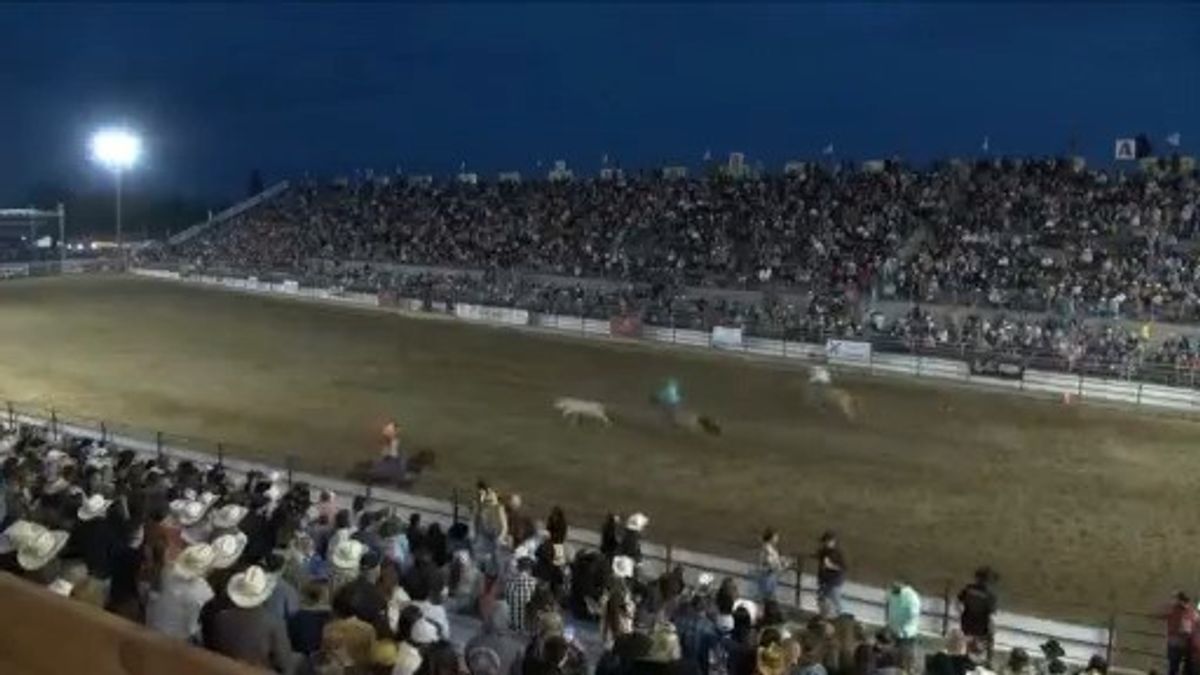 Clovis Rodeo: Packed stands, fierce competition | Haystack News