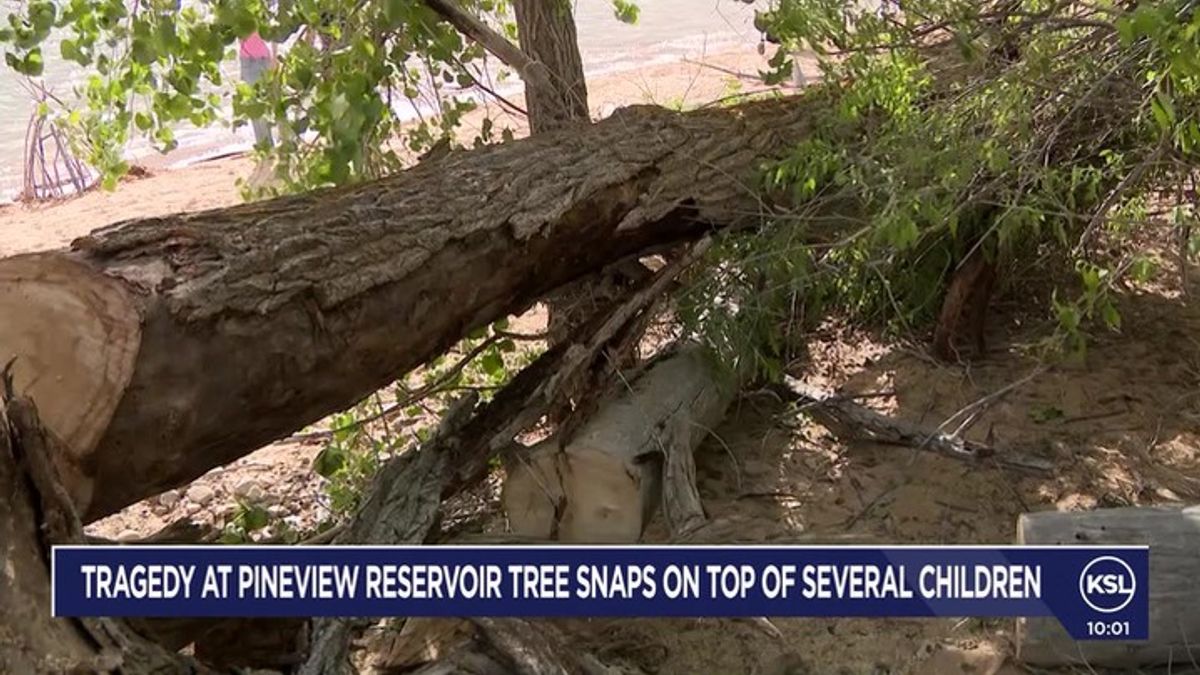 Tree collapse at Pineview Reservoir leaves 13-year-old girl on life ...