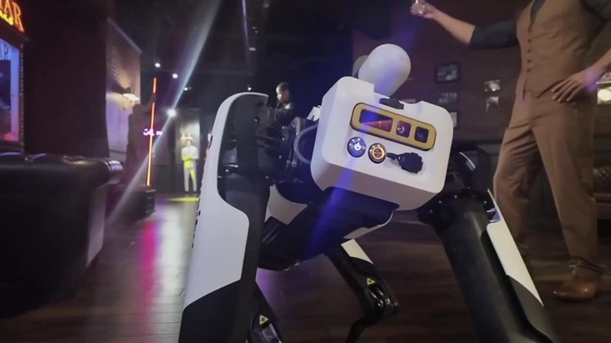 Robotic drone dogs powered by AI aim to provide new security in crowded ...