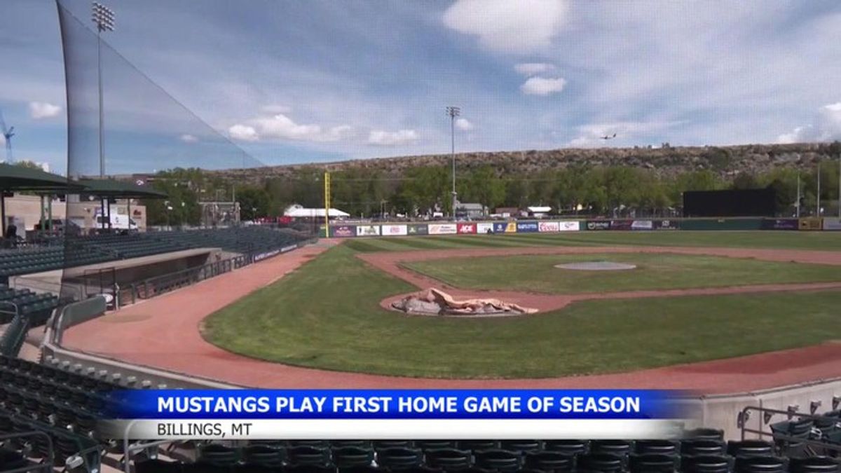 Billings Mustangs open | Haystack News