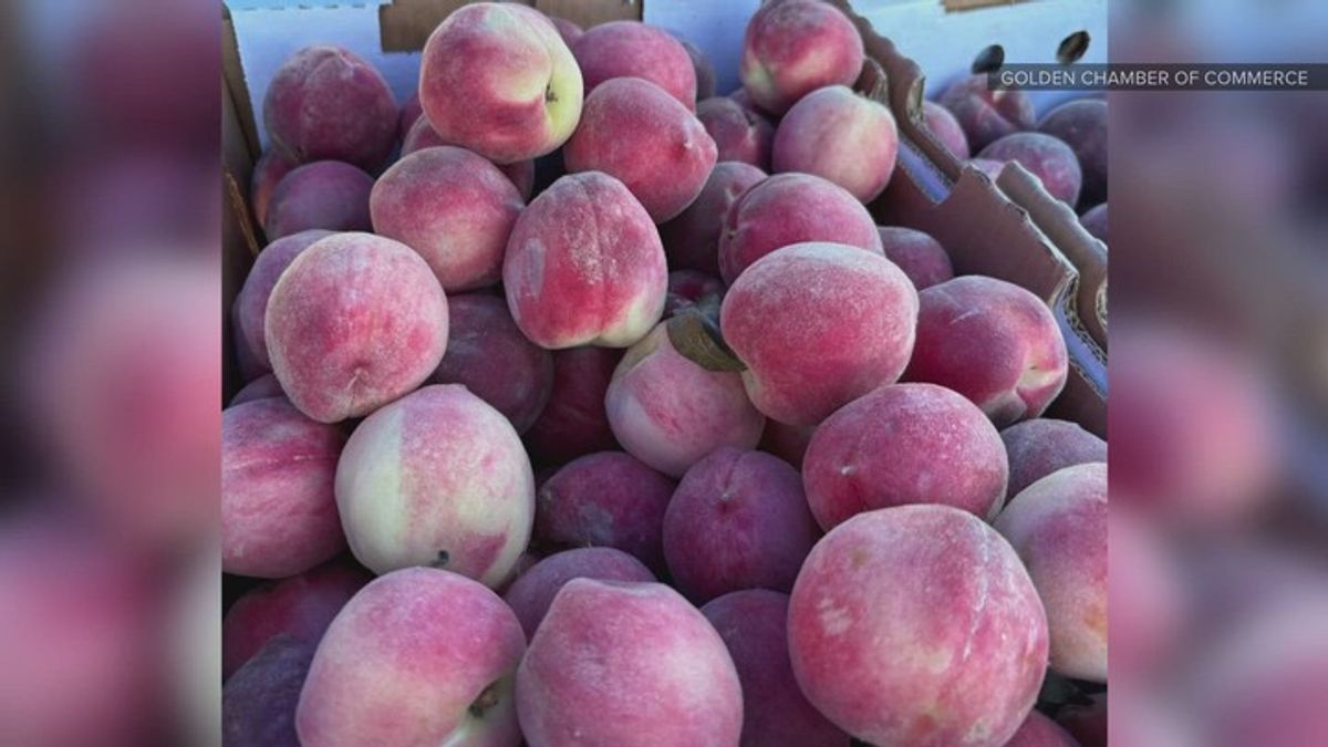 Golden Farmers Market opens for 2026 season, with new midweek market ...