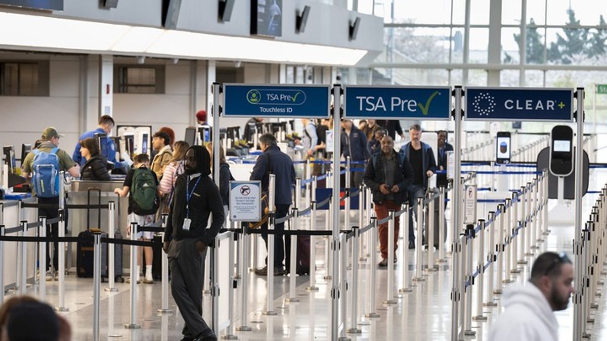 TSA Lines Ease as Workers Receive Pay and Return to Work | Haystack News