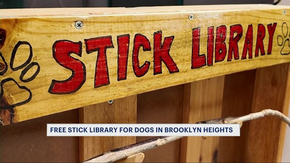 Free ‘stick library’ pops up in Brooklyn Heights for dog owners ...