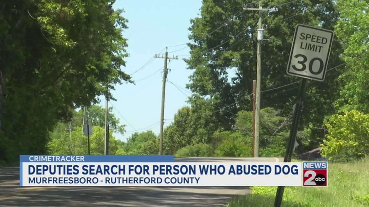 Rutherford County deputies searching for person who abused dog ...