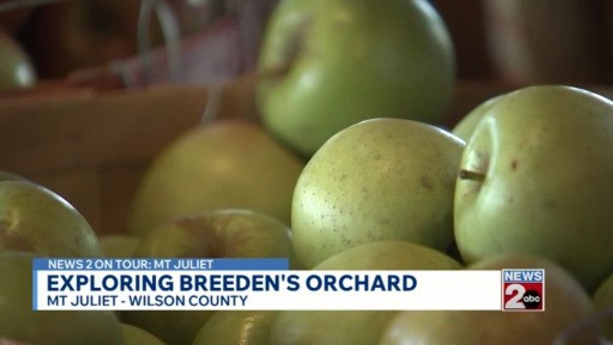 Exploring Breeden's Orchard in Mt. Juliet | Haystack News