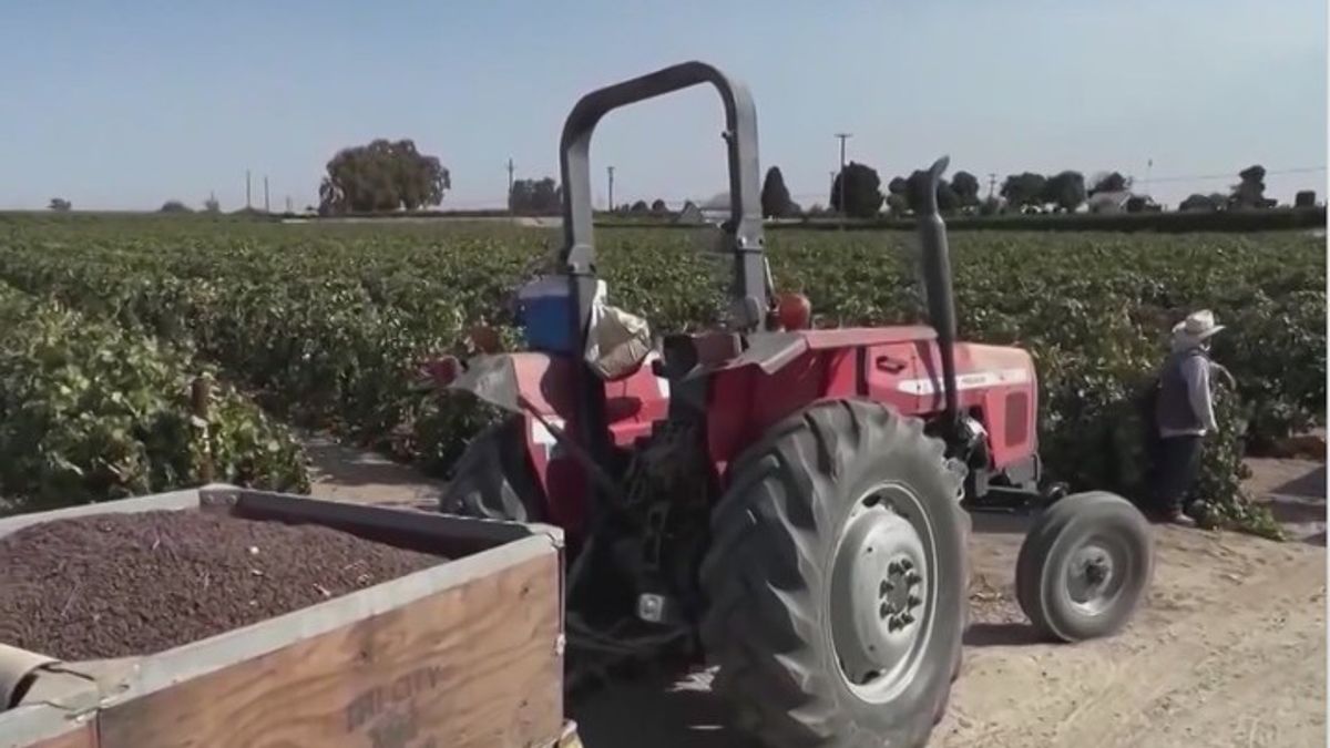 American farms shutting down as costs rise | Haystack News