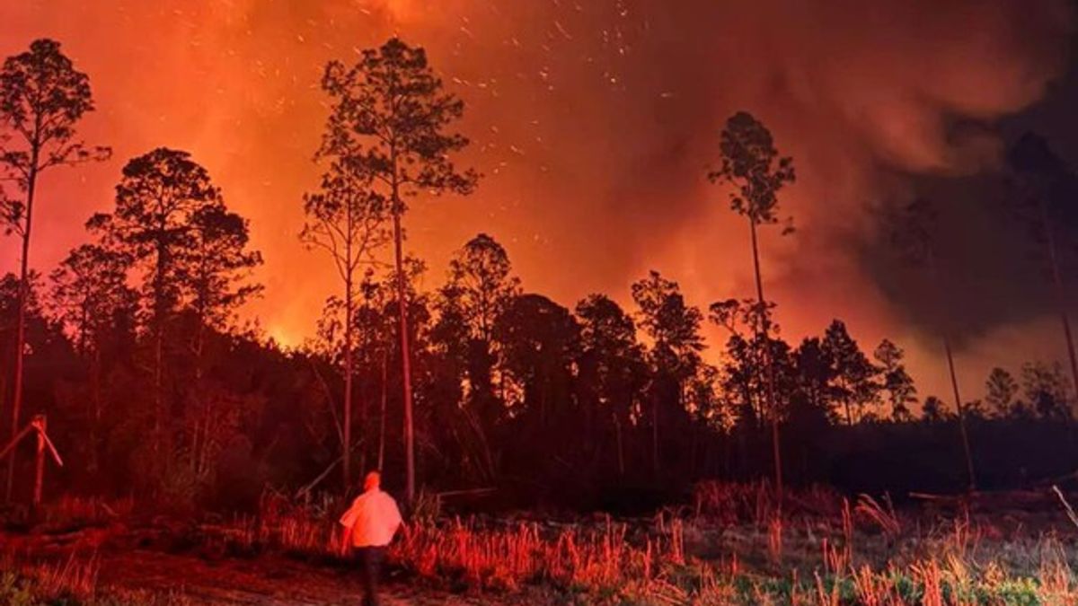 ‘It’s a beast, it’s a monster’: Wildfire explodes to more than 16,000 ...