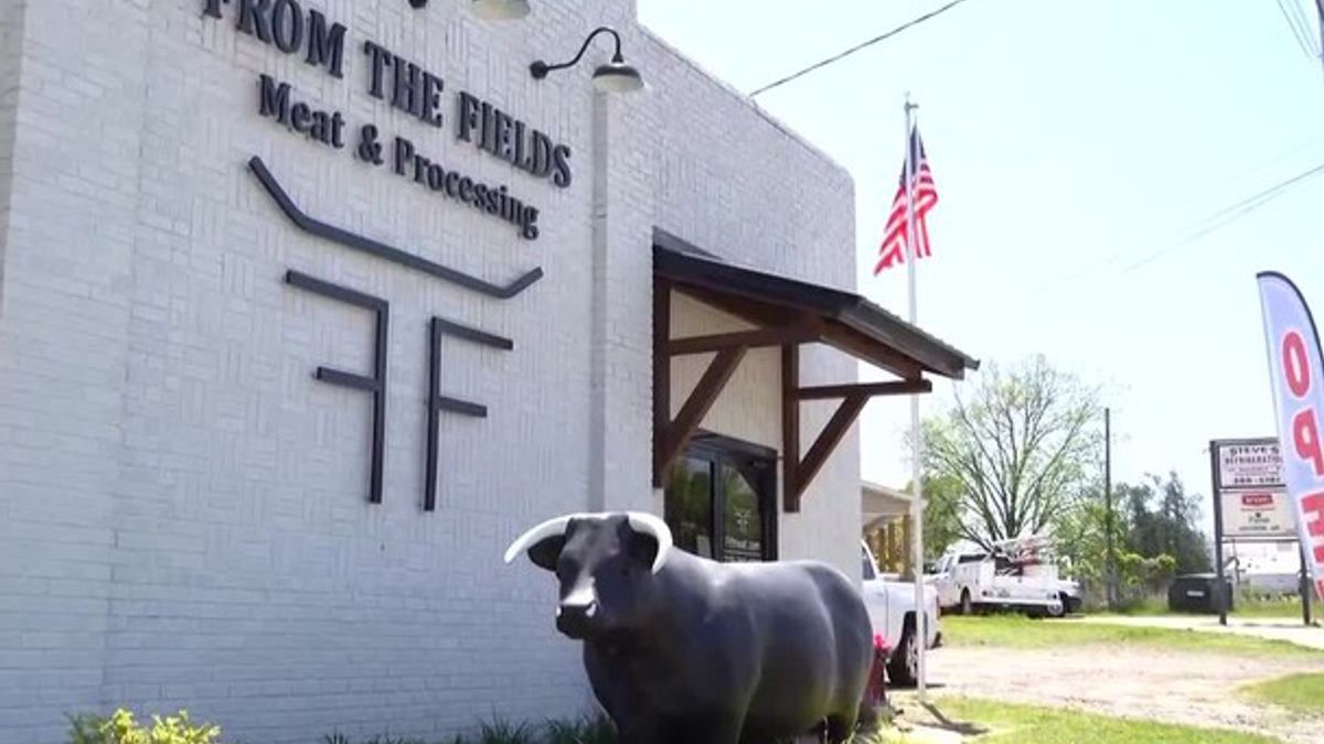 From The Fields Meat & Processing for Farm to Table Fresh | Haystack News