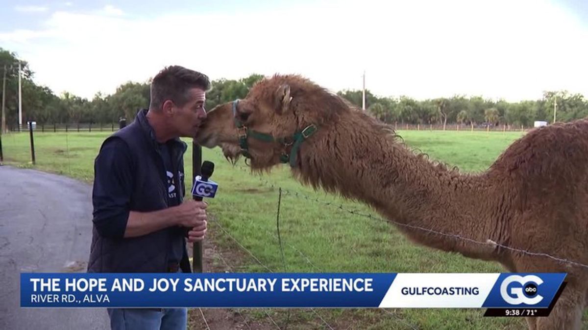 Hope & Joy Sanctuary offers a day of joy, healing and animal fun ...