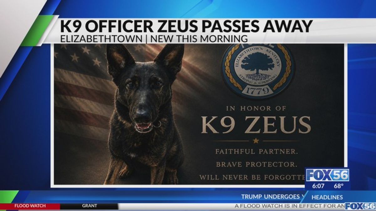 Elizabethtown police announce tragic loss of K9 Zeus | Haystack News
