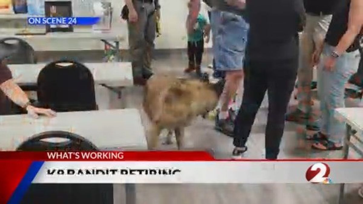 Shelby County Sheriff's K9 Bandit retirement | Haystack News