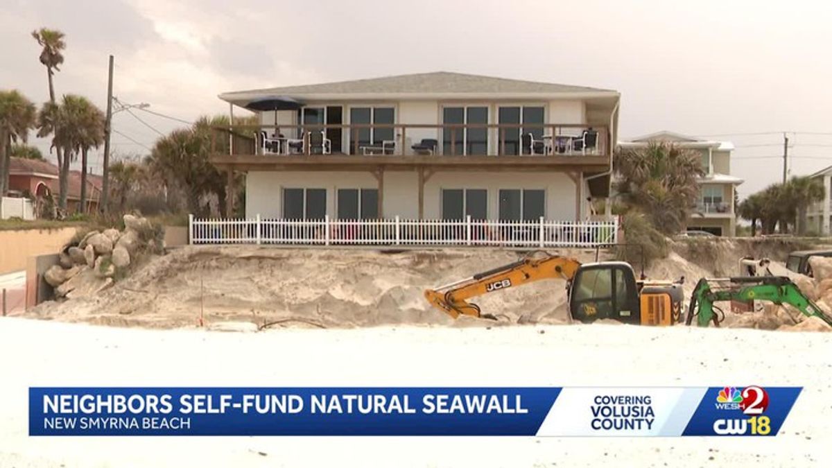 Neighbors self-fund natural seawall construction in New Smyrna Beach ...