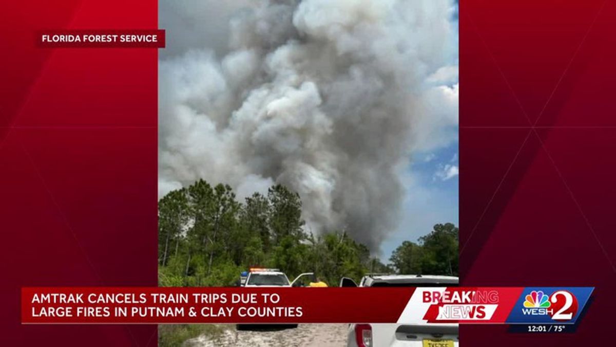 Large brush fire forces Amtrak to close tracks in Central Florida ...