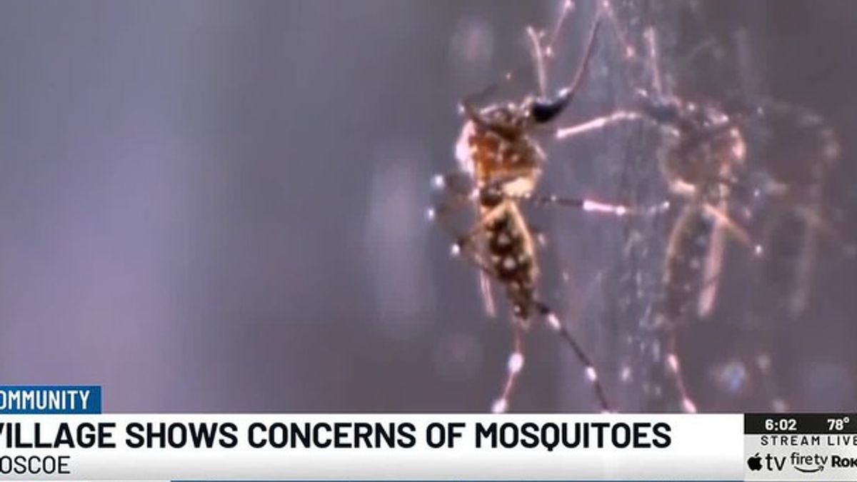 Roscoe halts mosquito control, raising concerns for summer spike in ...