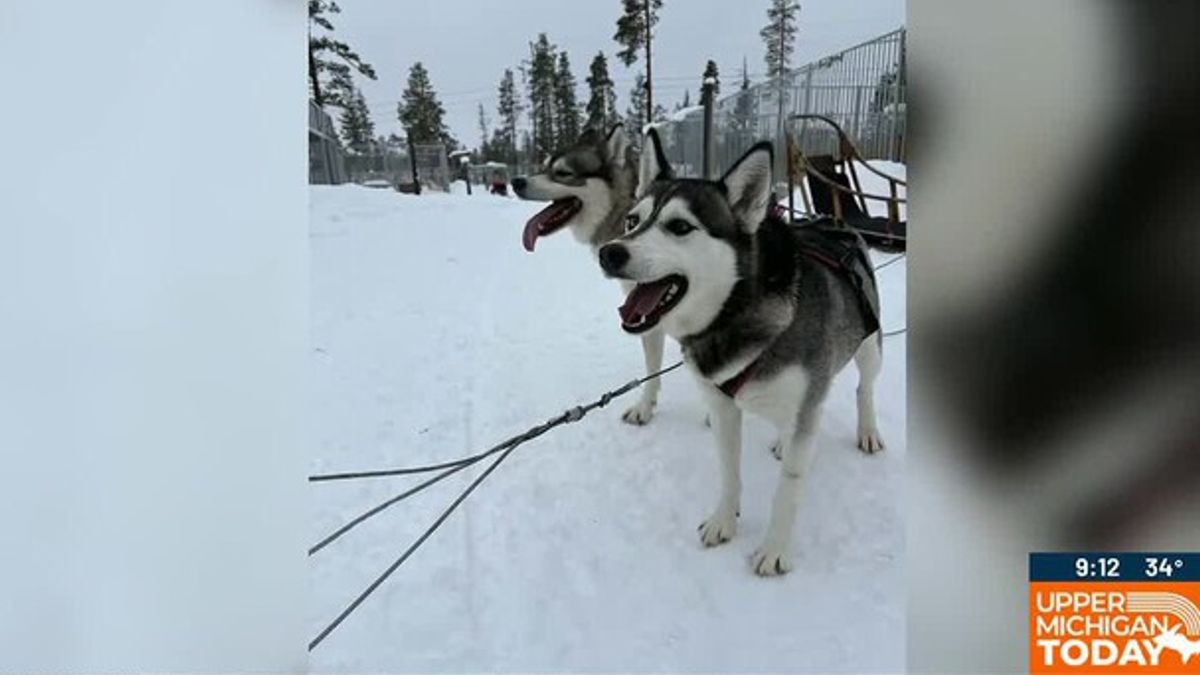 Upper Michigan Today -Finland Experience | Haystack News