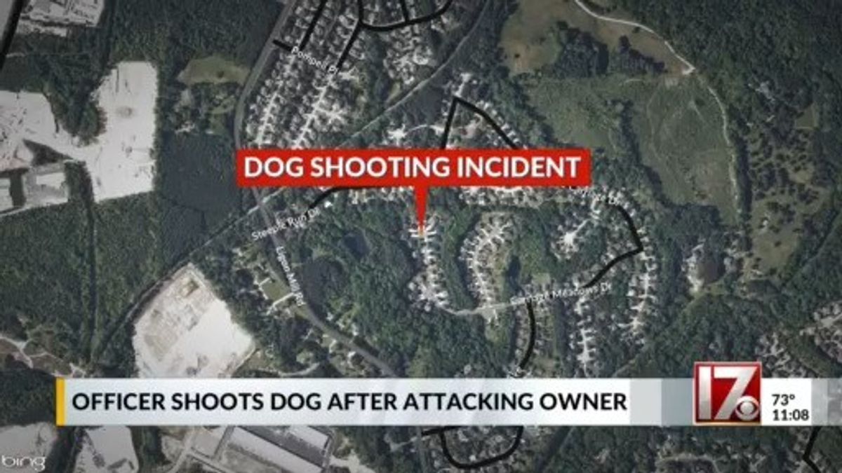 Wake Forest police shoot dog as it tries to attack: Officials ...