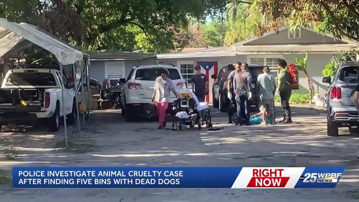 Police investigate animal cruelty case after finding five bins with ...