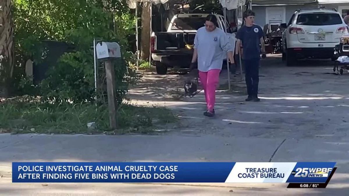 Fort Pierce police investigate animal cruelty case | Haystack News