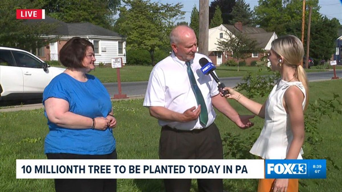 Pennsylvania's 10 millionth tree planting | Haystack News